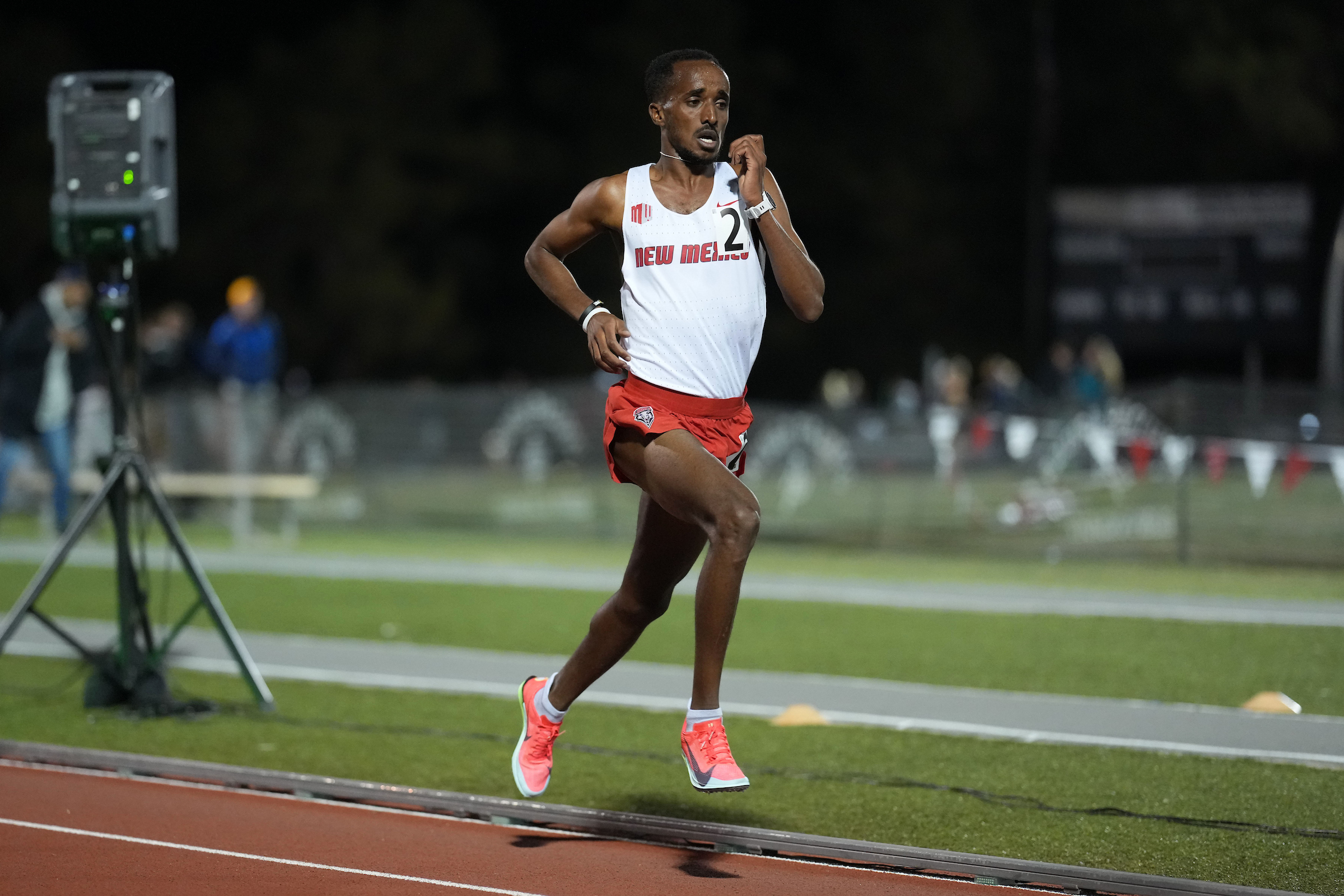 Finished Results - Article